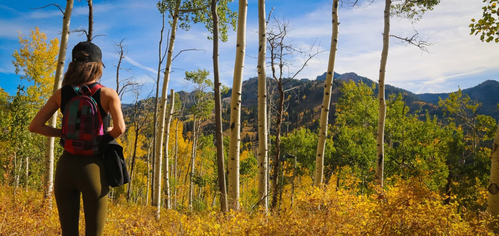 Top 5 Summer Hikes in Aspen | Aspen Luxury Rentals